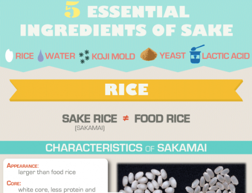 Ultimate Guide to How to Read Sake Labels | SAKETALK