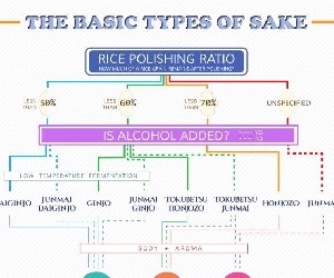 SAKETALK - Learn Japanese Sake Visually.